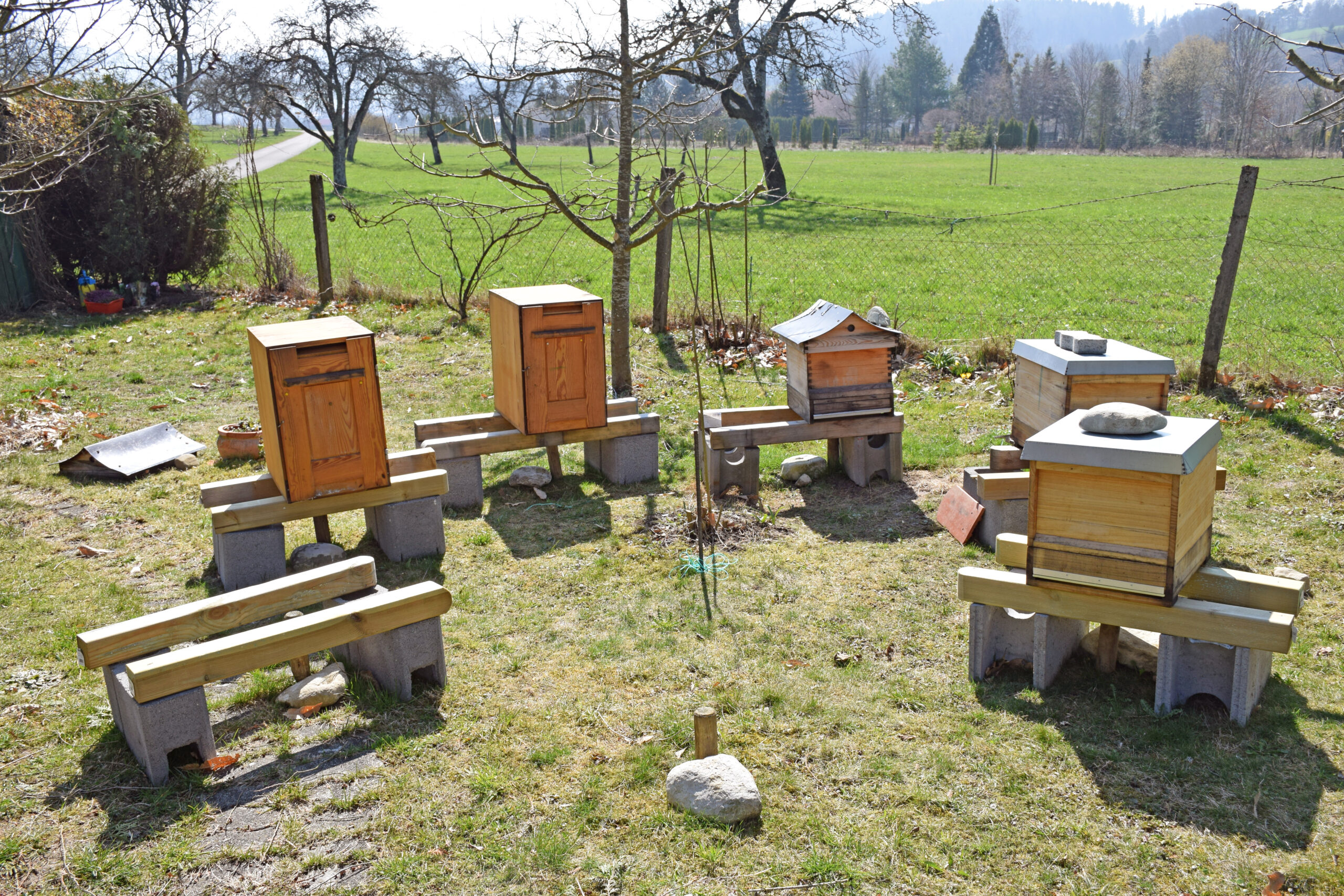 Čebelarstvo in umetniško slikarstvo | Branka in Zlatko Partlič
